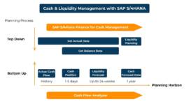 Overview of SAP Treasury and Risk Management (TRM) - Noshtek